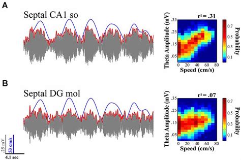 Frontiers Theta Variation And Spatiotemporal Scaling Along The