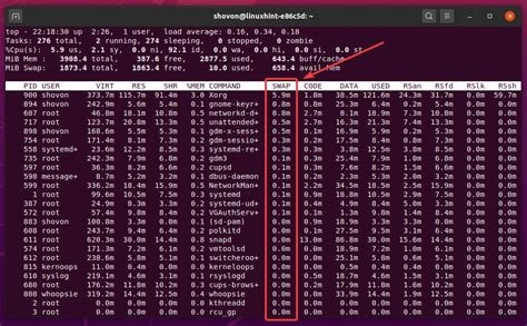 how to check linux memory usage linux hint