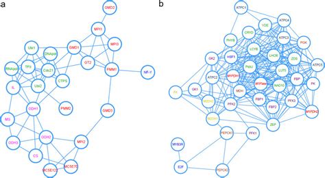 Cytoscape Representation Of Co Expressed Genes With Alginate And