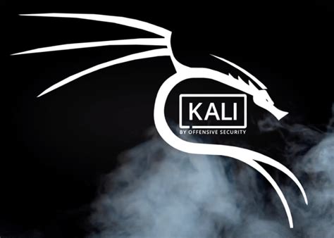 kali linux free install using vmware workstation tech
