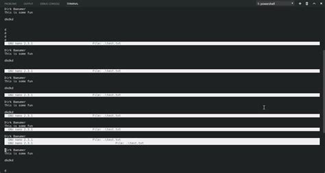 terminal has scroll bar after second launch allowing to scroll away