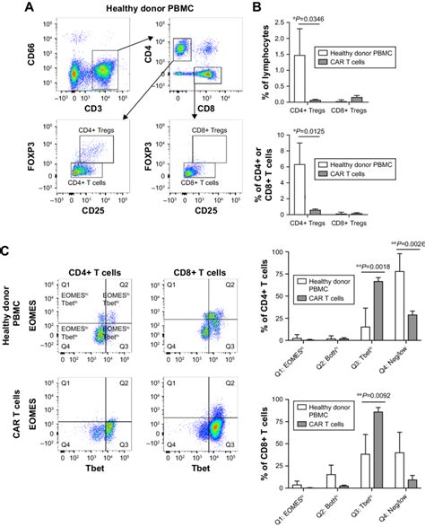 Immunophenotype Characterization Of Prodigy Produced Cd19 Car T Cells