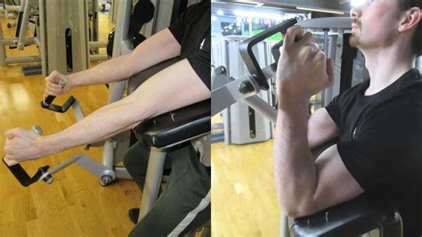 Hammer Strength Seated Bicep Curl Tutorial Atelier Yuwa Ciao Jp