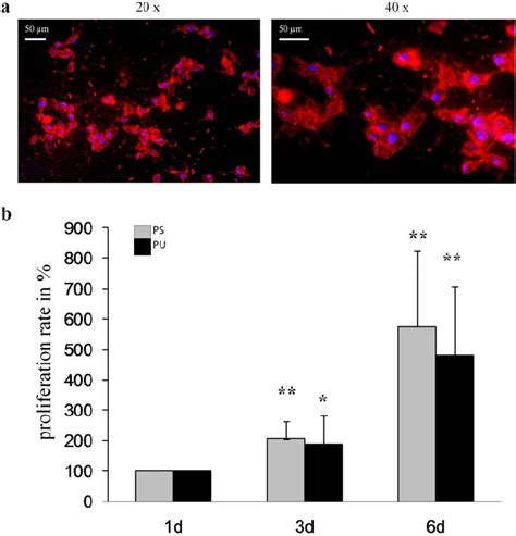 A Hmsc Tert Ap1 Cells Grown On Pu Dishes And Stained With