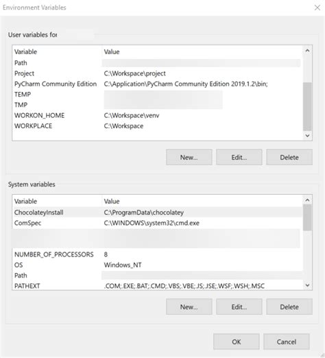 python how can i set environment variable workon home