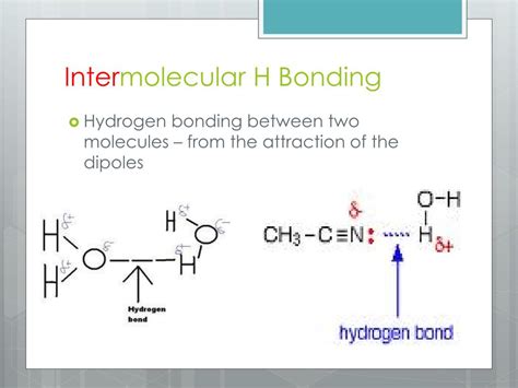 Ppt Hydrogen Bonding Powerpoint Presentation Free Download Id 3887591