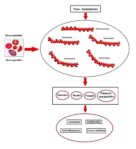 Antioxidants Free Full Text Bio Availability Anticancer Potential