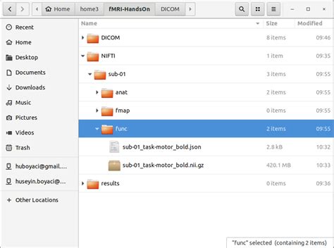 converting dicom files to nifti format computational and biological