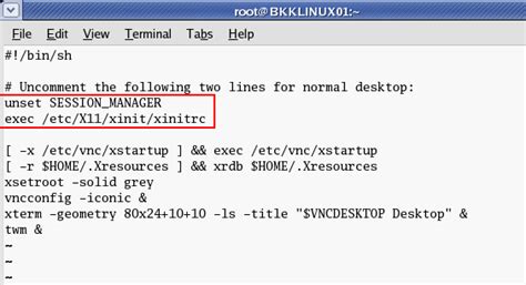 enable remote desktop on linux using vnc