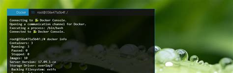 docker console immerse yourself in linux but stay in windows