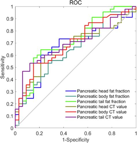 Pancreatic Fat Fraction In Dual Energy Computed Tomography As A