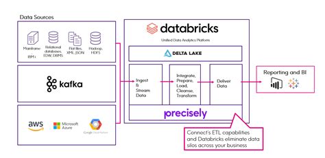 precisely databricks