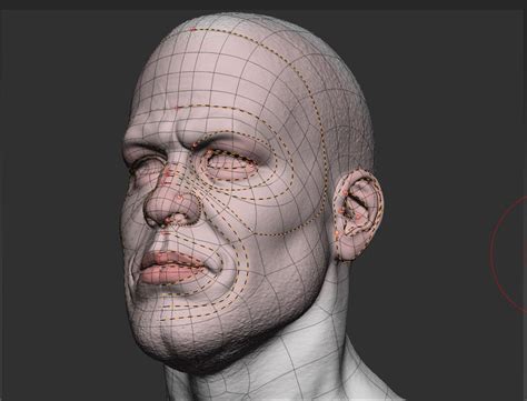 zremesher polycount forum zbrush tutorial zbrush art tutorials