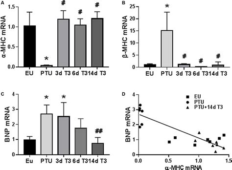Frontiers Bnp As A New Biomarker Of Cardiac Thyroid Hormone Function