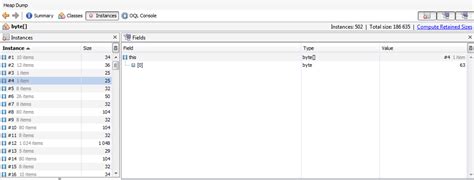 java in a visualvm heap dump what is the number after