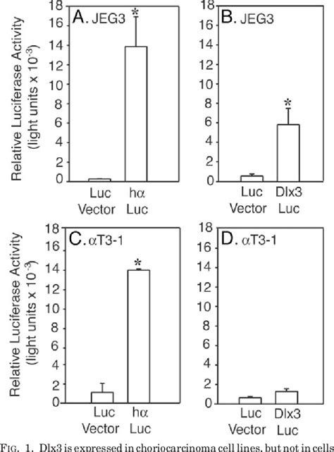 Figure 1 From A Role For Ccaat Enhancer Binding Protein Beta In The