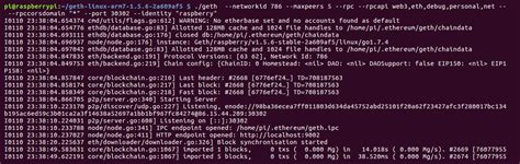 raspberry pi node setup mastering blockchain second