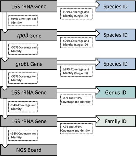 Validation Implementation And Clinical Utility Of Whole Genome