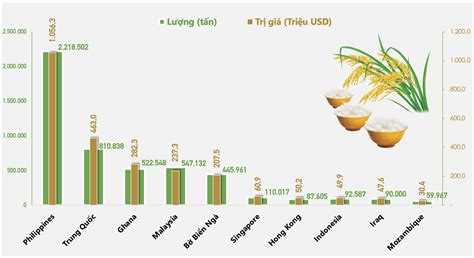 Top 10 Thị Trường Việt Nam Xuất Khẩu Gạo Nhiều Nhất Năm 2020