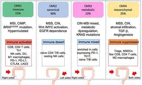 Molecular Subtypes And The Evolution Of Treatment Management In
