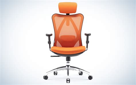 The Best Office Chairs For Back Support In 2023 Popular
