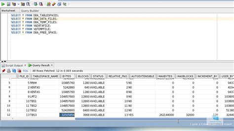 44 curso de administración de oracle 19c autoextender ficheros de
