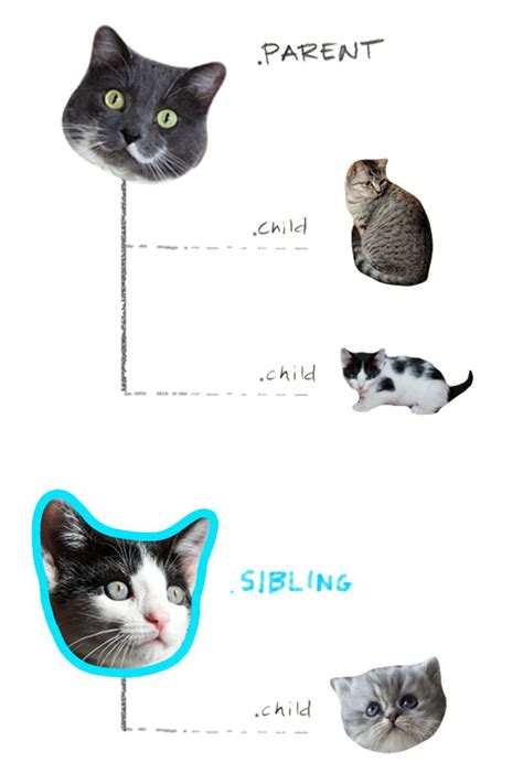 basic css selector syntax explained using cats css