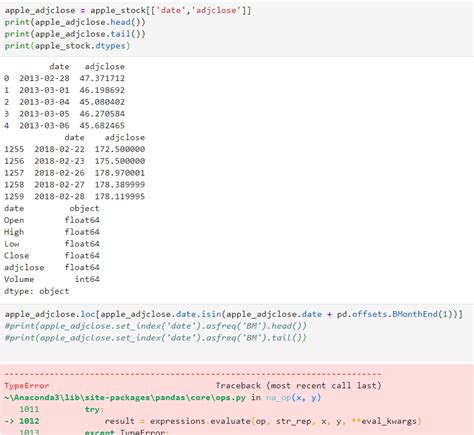 python how to filter dateframe by end of business month