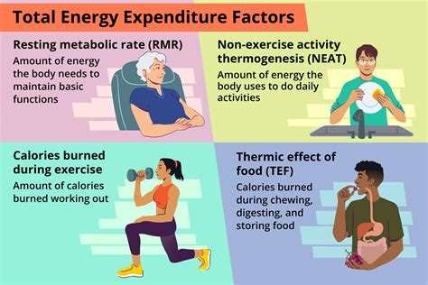 Figuring Out How Many Calories You Burn Every Day