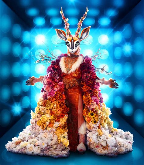 Photos The Masked Singer Season 10 Costumes