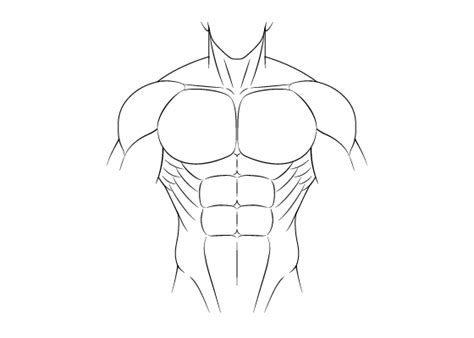 How To Draw Anime Body Male Easy Anime Body Male Muscular Draw Step