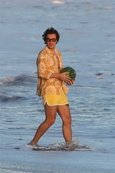 Harry Styles Bikini Hot Sex Picture