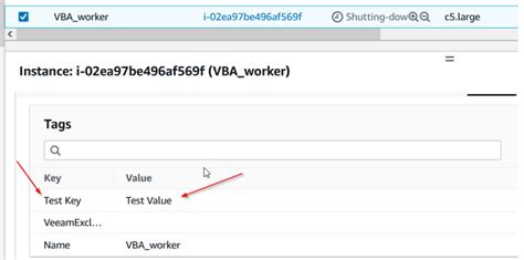 how to assign custom tags on veeam backup for aws workers veeam