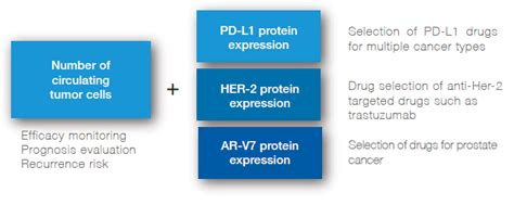 Cytobot® Automated Circulating Tumor Cell Detection System Intelligent