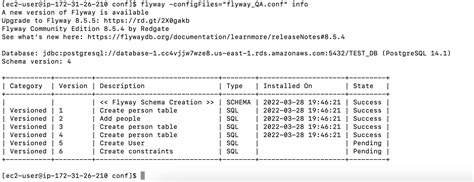automate schema version control and migration with flyway and aws