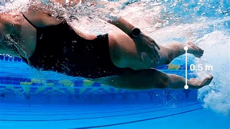 How To Swim Freestyle With Perfect Technique Myswimpro
