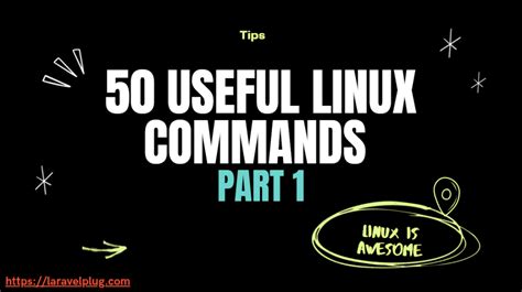 50 useful linux commands part 1 laravel plug
