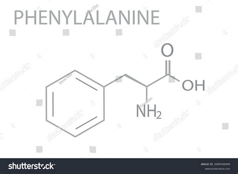Phenylalanine Molecular Skeletal Chemical Formula Stock Vector Royalty