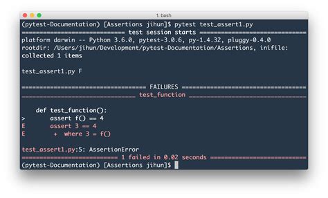 pytest doc 번역 the writing and reporting of assertions in tests