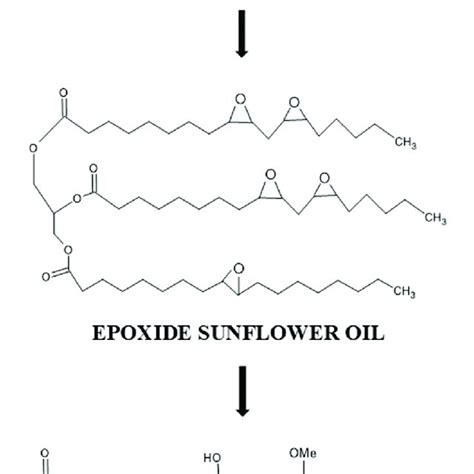 Scheme 1 Synthesis Reaction Of Sfo Polyol Scheme 1 Synthesis