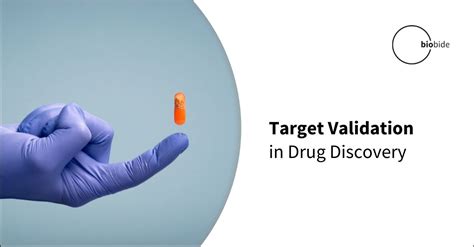 Target Validation In Drug Discovery