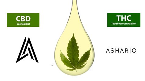 Cbd Vs Thc Differences Benefits And Effects Ashario