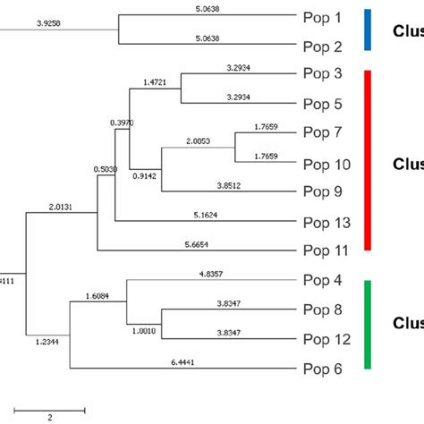 The Upgma Unweight Pair Group Method With Arithmetic Means Dendrogram