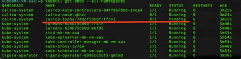 calico kube controllers pending since not tolerate the node role