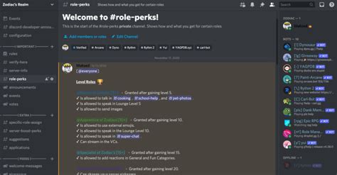 design and create a beautiful discord server by maksimbooth fiverr