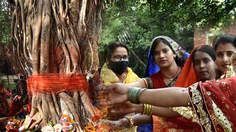 Vat Savitri Vrat 2023 कब रखा जाएगा वट सावित्री व्रत जानें पूजा का