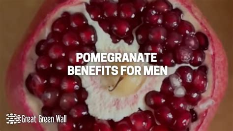 Pomegranate Benefits For Men [2024] Evidence And Science Great