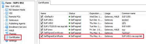 kb parallels how to manage certificates in ras 17 1 1 using powershell