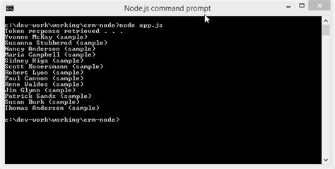 dynamics 365 and node js integration using the web api