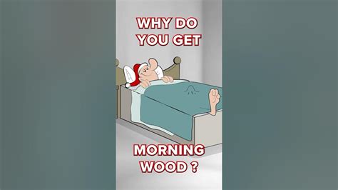 This Is Why Guys Get Morning Wood Sciencefacts Morningwood